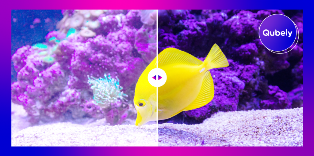 Qubely: New Image Comparison Block & Global Settings | Ahoi.dev